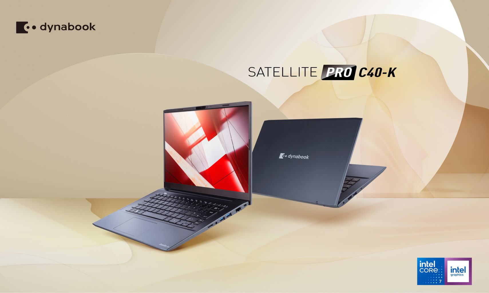 SATELLITE PRO C40-K - Dynabook